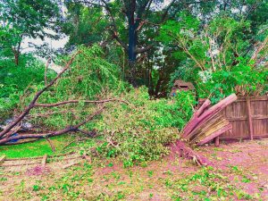 Tornado, Severe Storms Leave Damage Across Ozark – The Johnson County ...